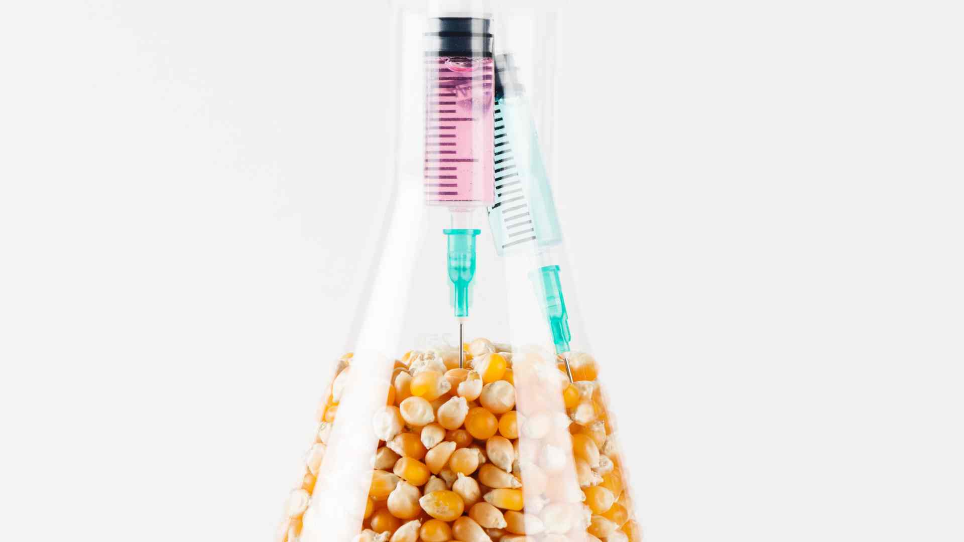 Insuffisance des tests réglementaires pour les nouveaux OGM, selon l'USDA